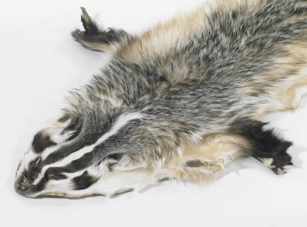 SKIN - Les Jardins de Sainte-Hildegarde