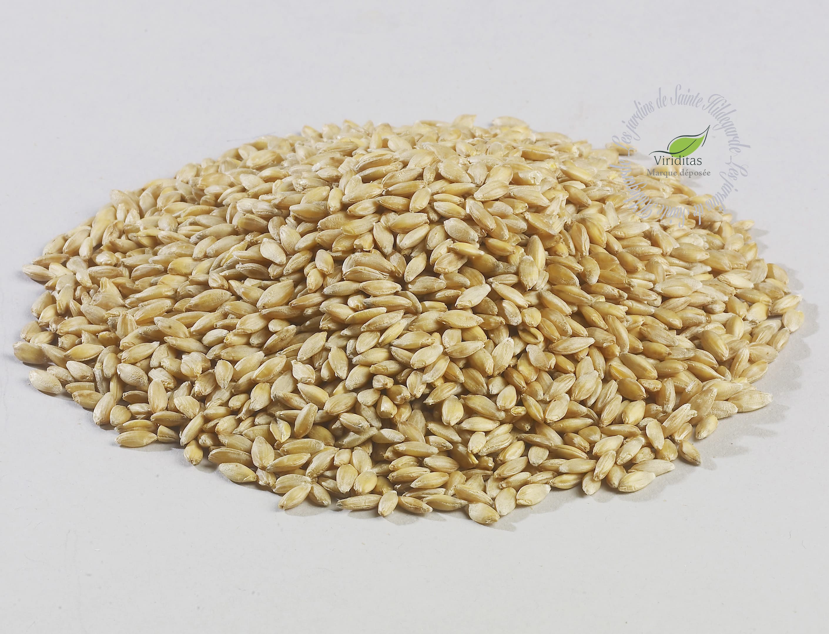 GRAINS ENTIERS PE BIO 1KG* - Les Jardins de Sainte-Hildegarde