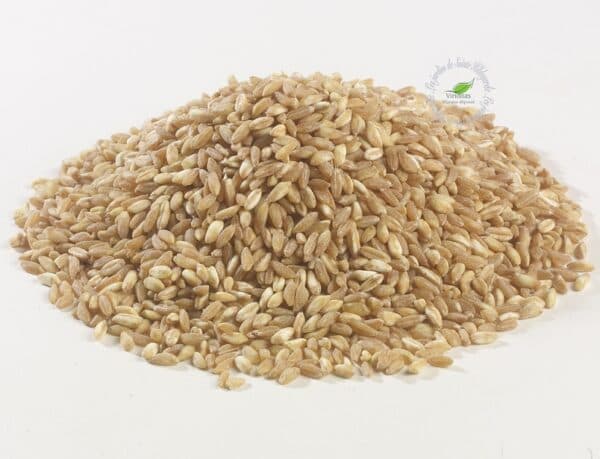 PERLE PEI BIO 500G* - Les Jardins de Sainte-Hildegarde