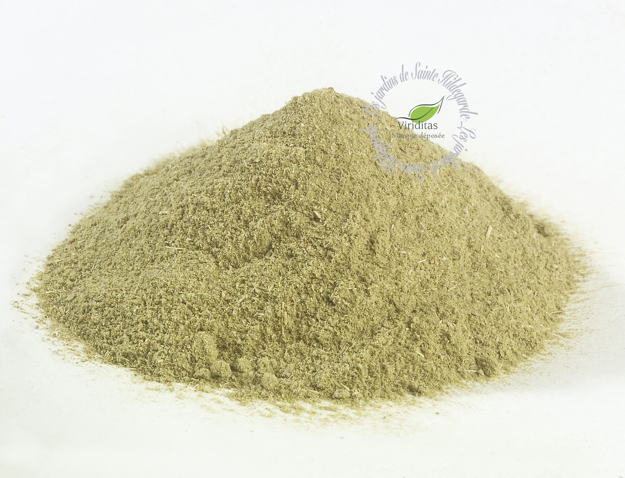 MENTHE POULIOT POUDRE BIO 40G* - Les Jardins de Sainte-Hildegarde