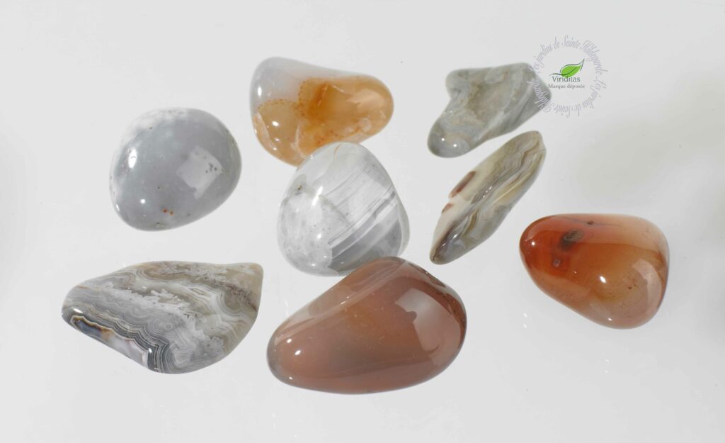 AGATE - Les Jardins de Sainte-Hildegarde