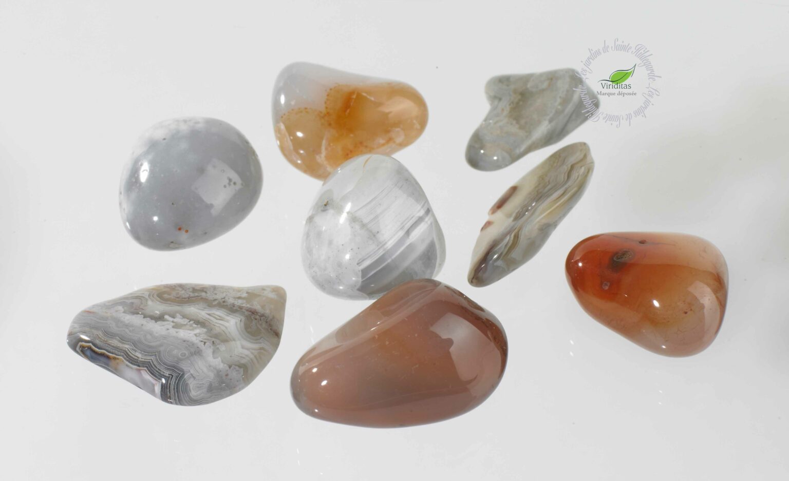 AGATE - Les Jardins de Sainte-Hildegarde